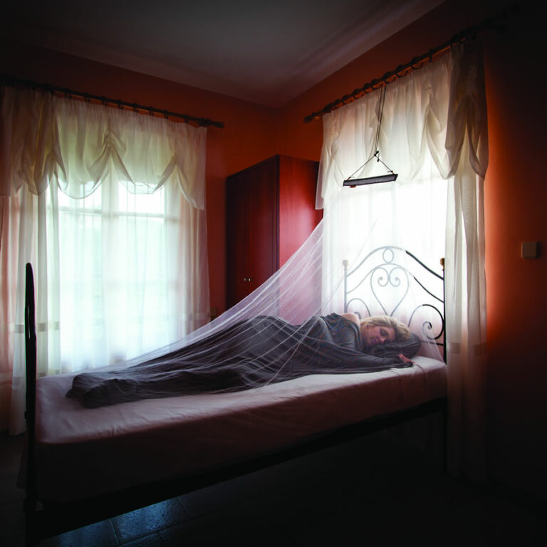 Impregnated Wedge Mosquito Net | Lifesystems Single Micronet